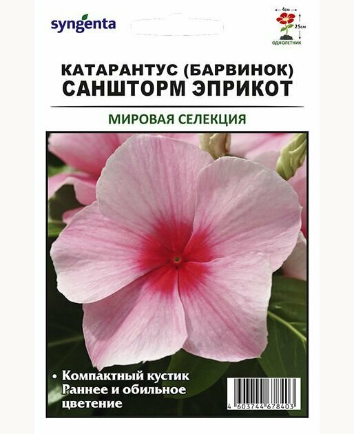 Катарантус (барвинок) Саншторм Эприкот 7 шт (мировая селекция)