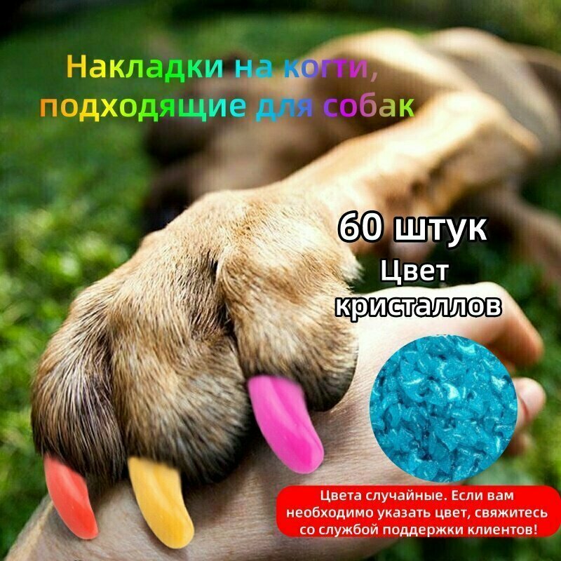 Накладки на когти для домашних животных, накладки против царапин для собак, подходят для всех собак