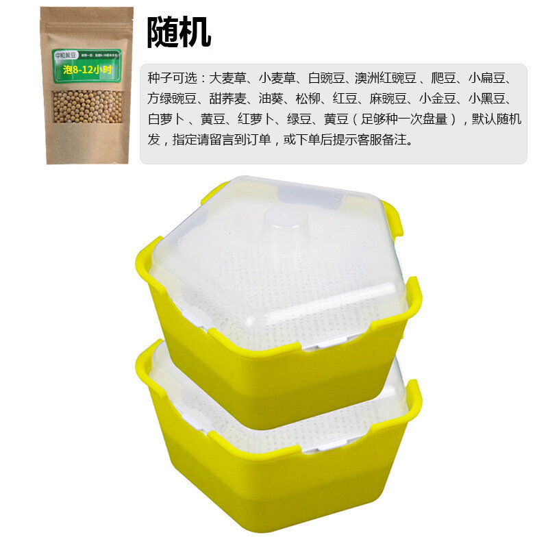 Гидропонные рассады чеснока, лук-шалот, ростки фасоли, поддон для посадки, зеленые ростки, поддон для рассады, беспочвенное выращивание, семена чеснока