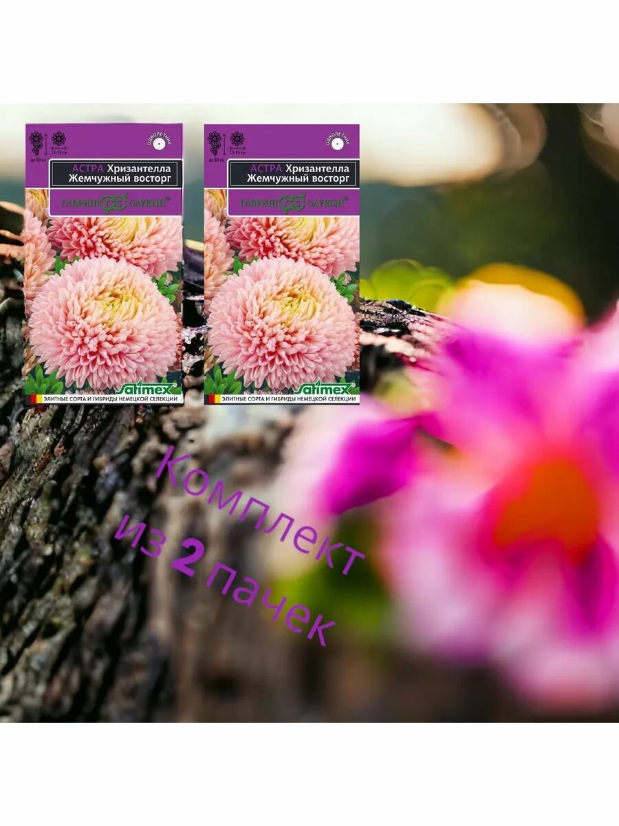 Астра Хризантелла Жемчужный восторг цв. п 0,05г (комплект из 2 пачек) Гавриш