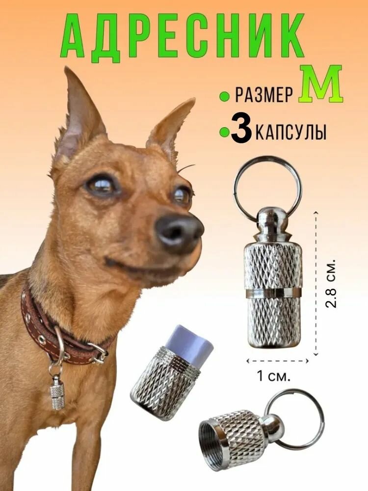 Адресник Капсула На Ошейник Для Собак