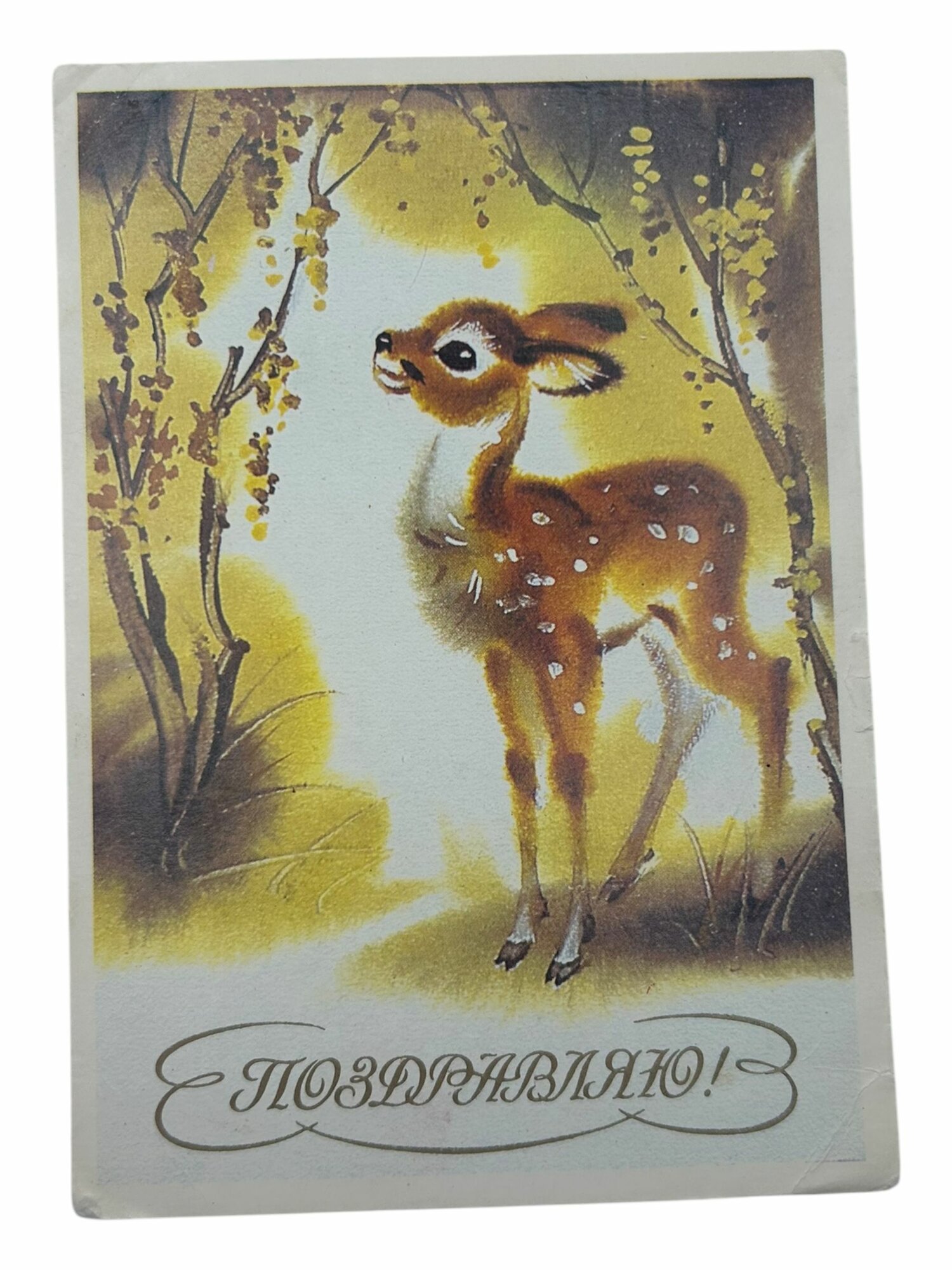 Советская почтовая открытка, Поздравляю! Художник В. Каневский. Сделано в СССР. Подписанная.