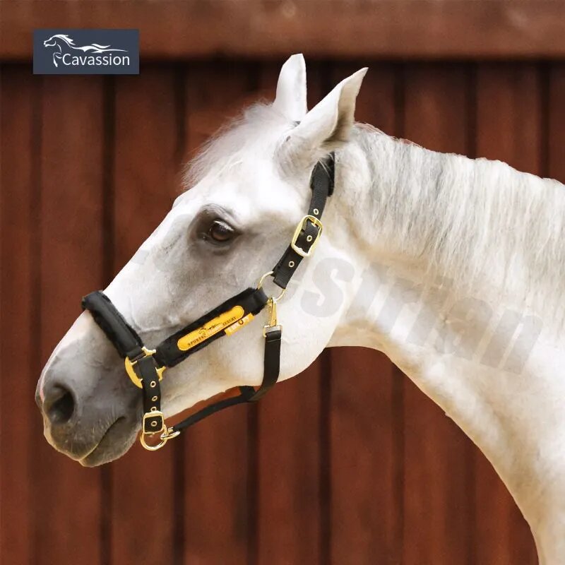 Набор уздечки и поводья