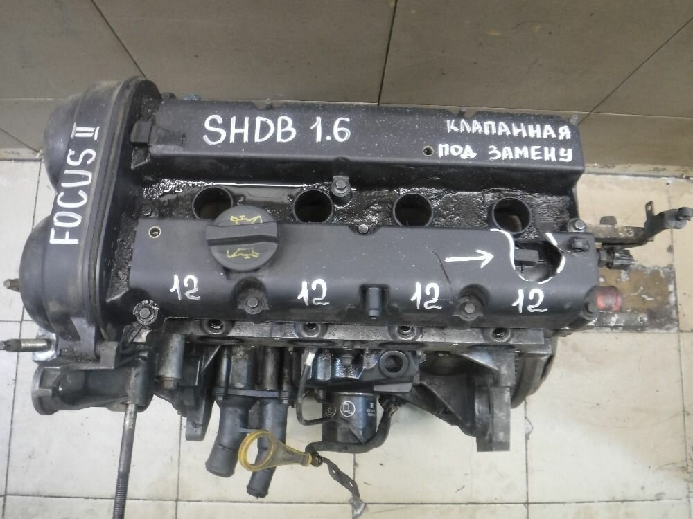 Двигатель Ford Focus II SHDB