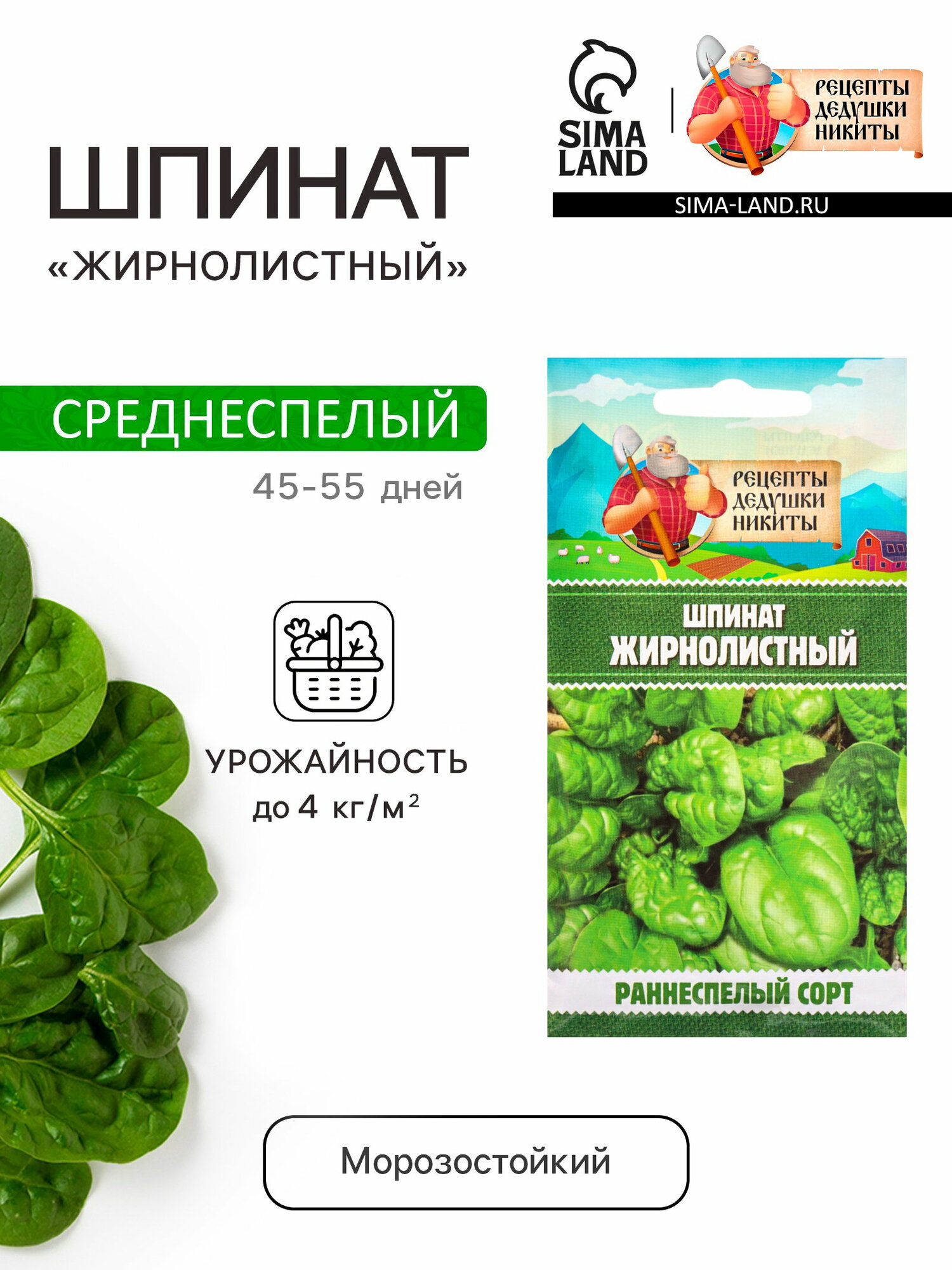 Семена шпинат "Жирнолистный", 3 г, посев (посадка) в грунт: апрель
