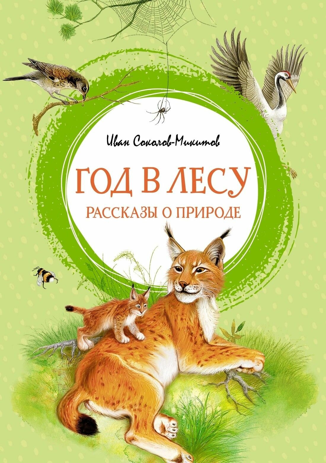 Год в лесу