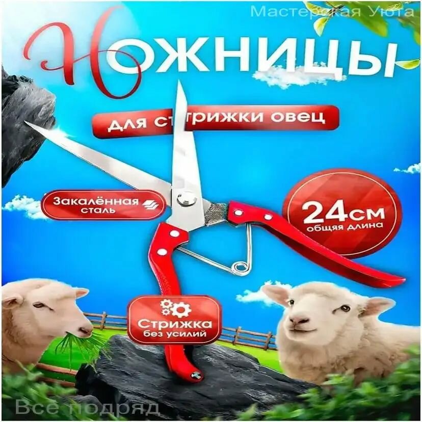 Ножницы для стрижки овец, баранов и домашних животных