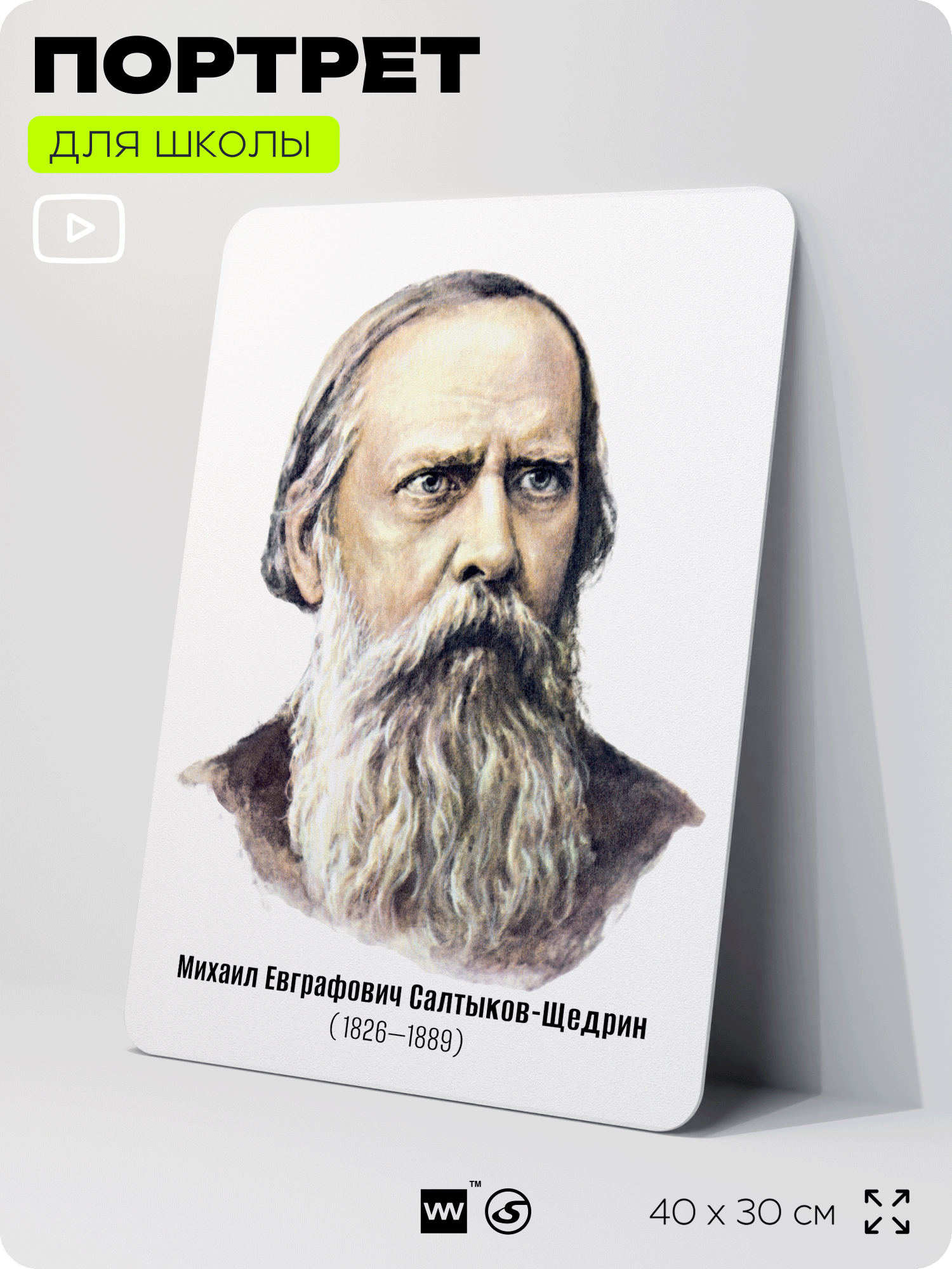 Портрет для школы в кабинет литературы и русского языка "Салтыков-Щедрин Михаил Евграфович", стенд школьный для класса, для оформления классного уголка, 40х30 см, Silver Plane x Айдентика Технолоджи