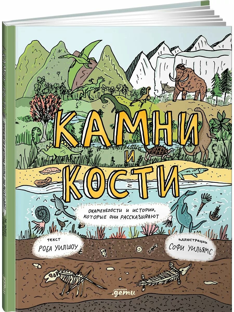 Камни и кости Окаменелости и истории