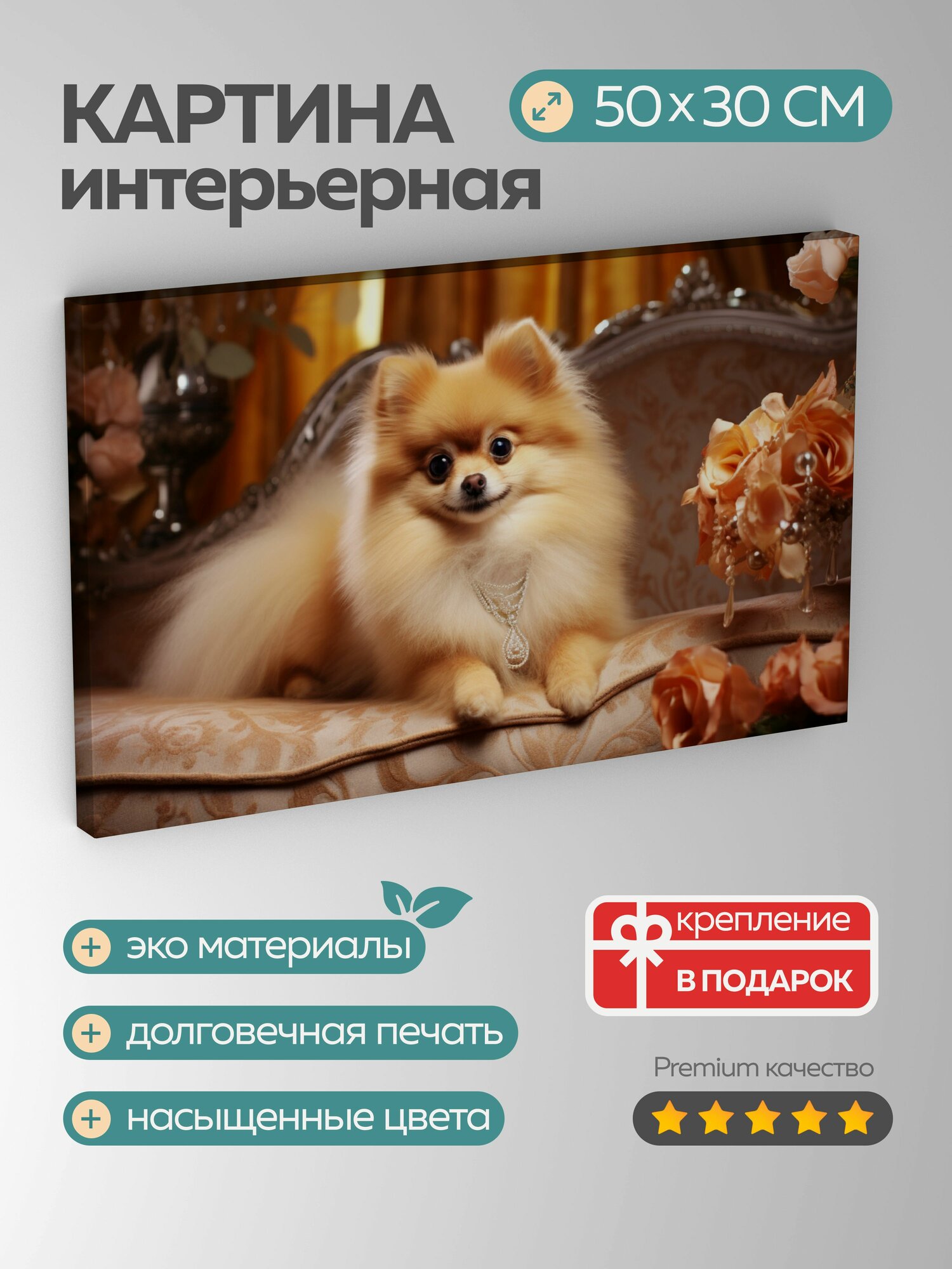 Картина на холсте интерьерная 50х30 см, шпиц, фотография, высокое разрешение, стильная обстановка, элегантность, грация