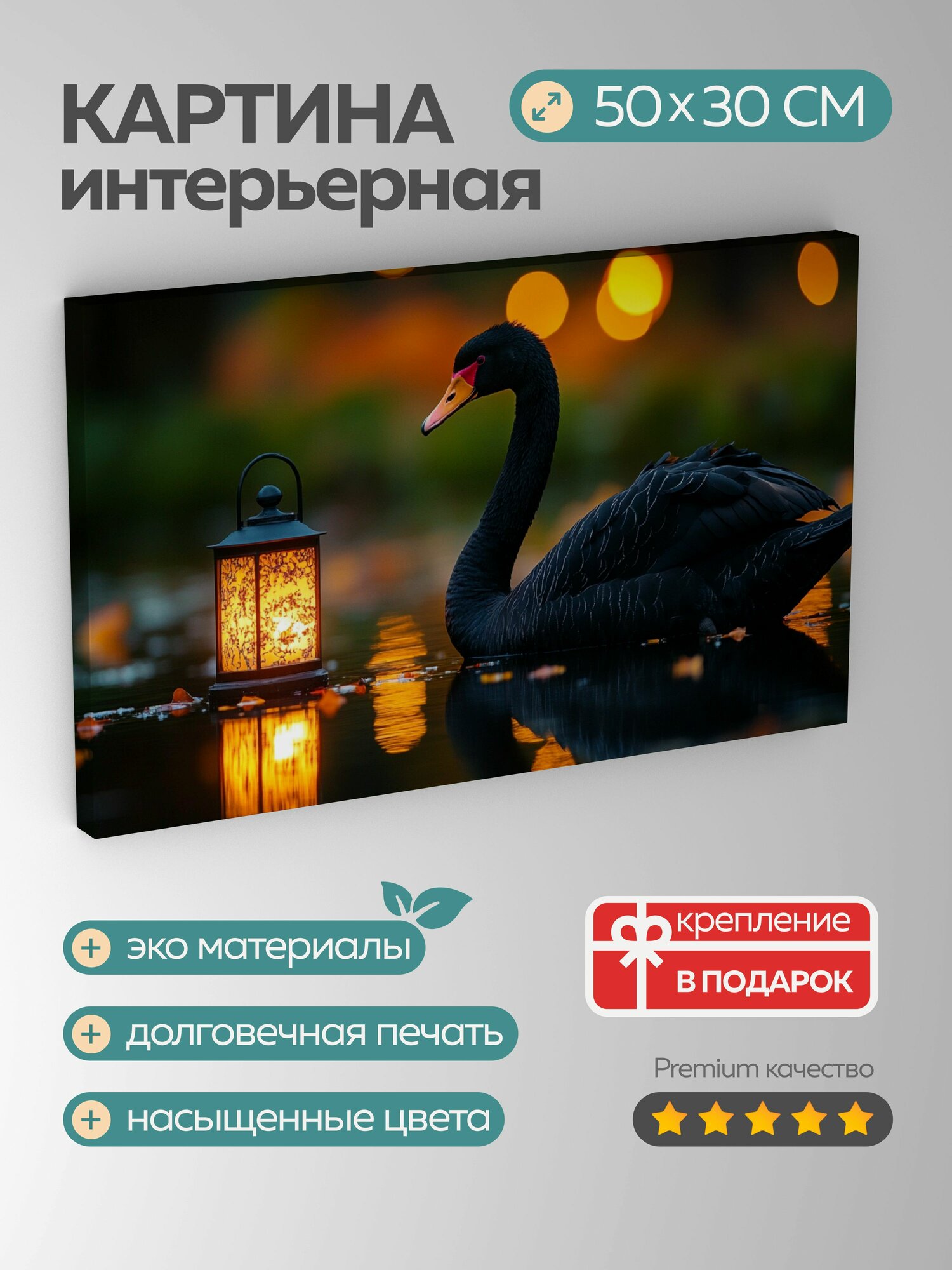 Картина на холсте интерьерная 50х30 см, Черный лебедь, фотография, рассеянный свет, контраст, оперение, освещение, f