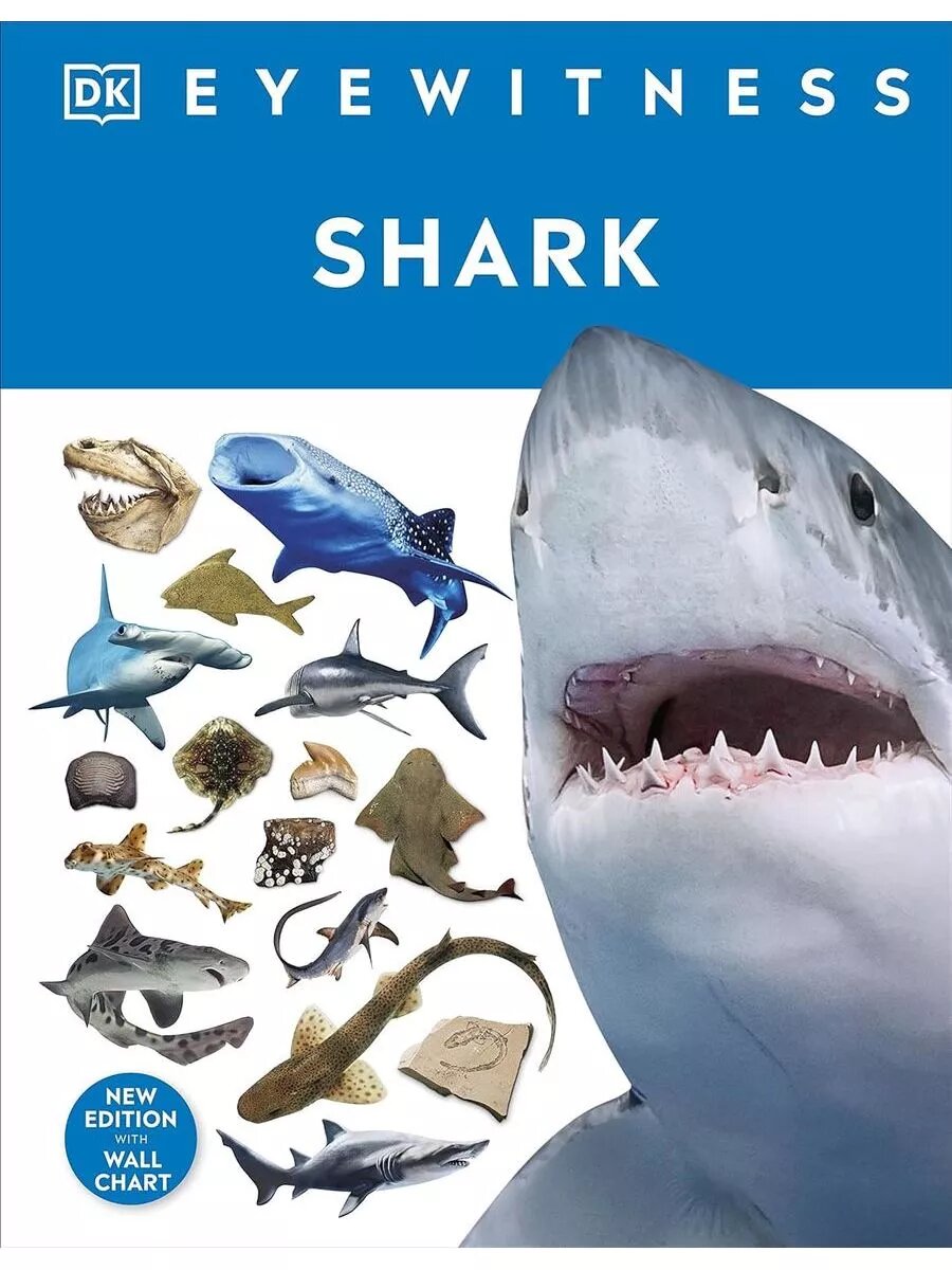 DK Eyewitness Shark акулы морские существа в природе гид | Dorling Kindersley