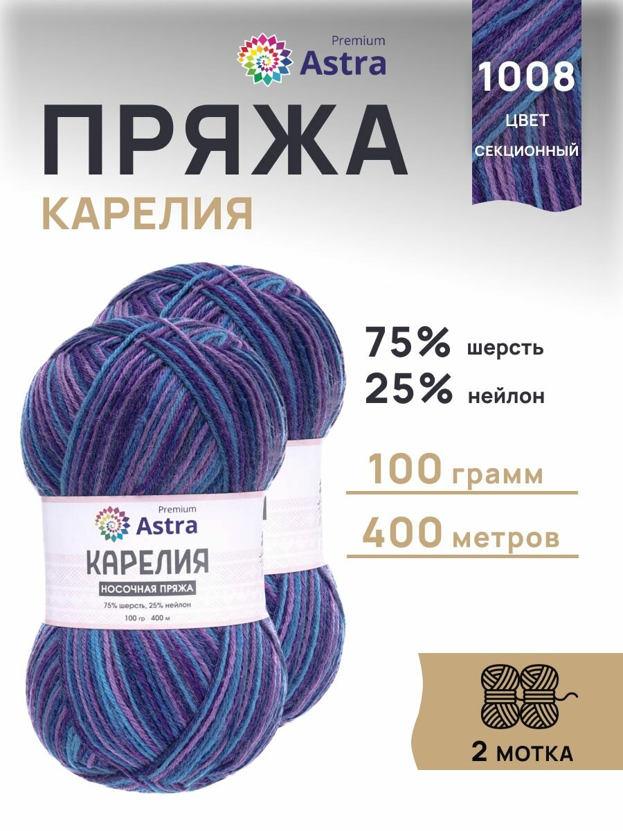 Пряжа носочная Astra Premium 'Карелия', 2 шт, 100г, 400м (75% шерсть, 25% нейлон) (1008)