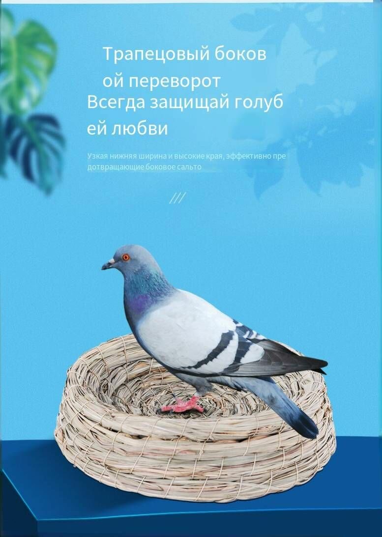 Насест для голубей