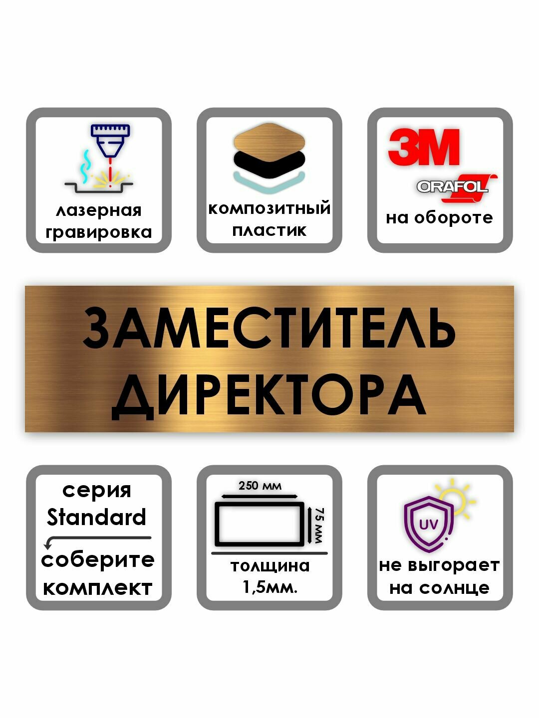Заместитель директора табличка на дверь Standard 250*75*1,5 мм. Золото