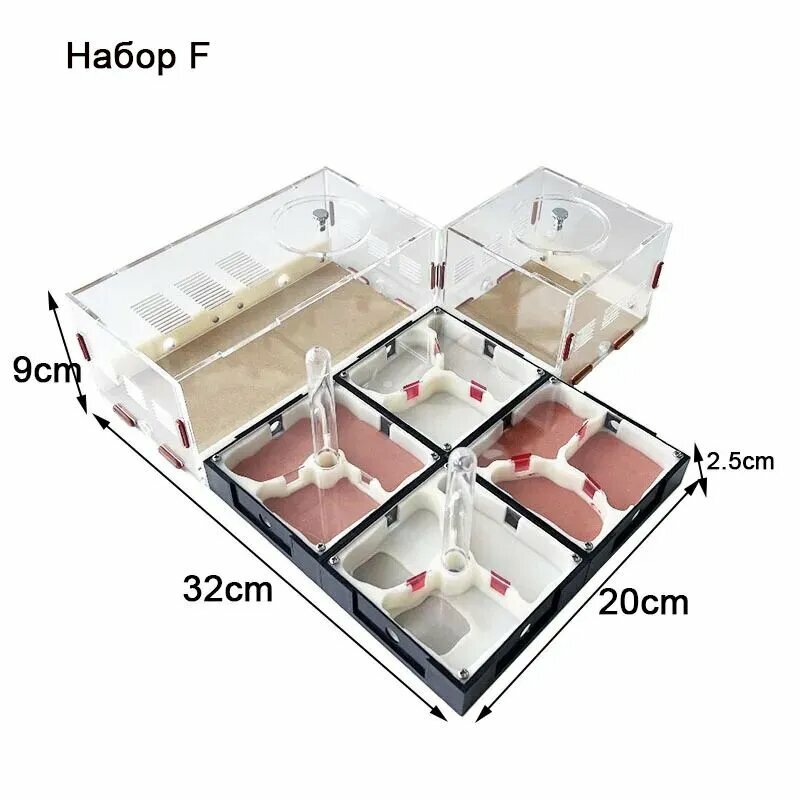 Муравьиная ферма Square Flat Nest Package F (Deluxe Package)