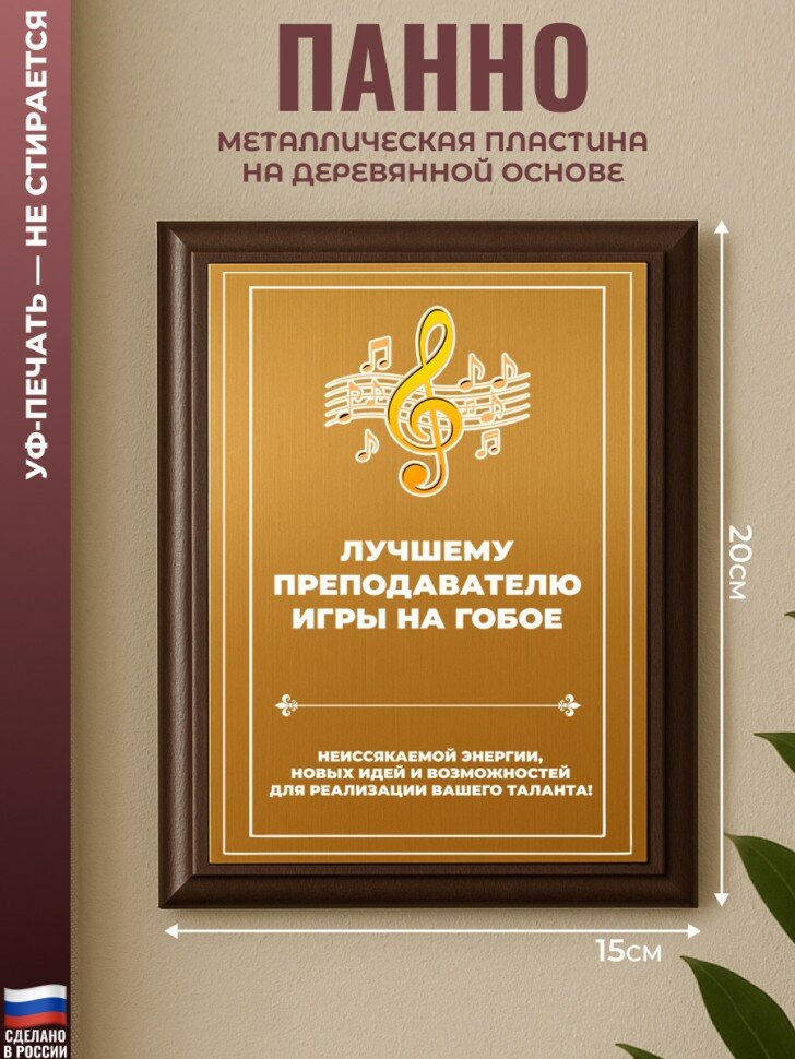 Настенный диплом "Лучшему преподавателю игры на гобое" Музыканту