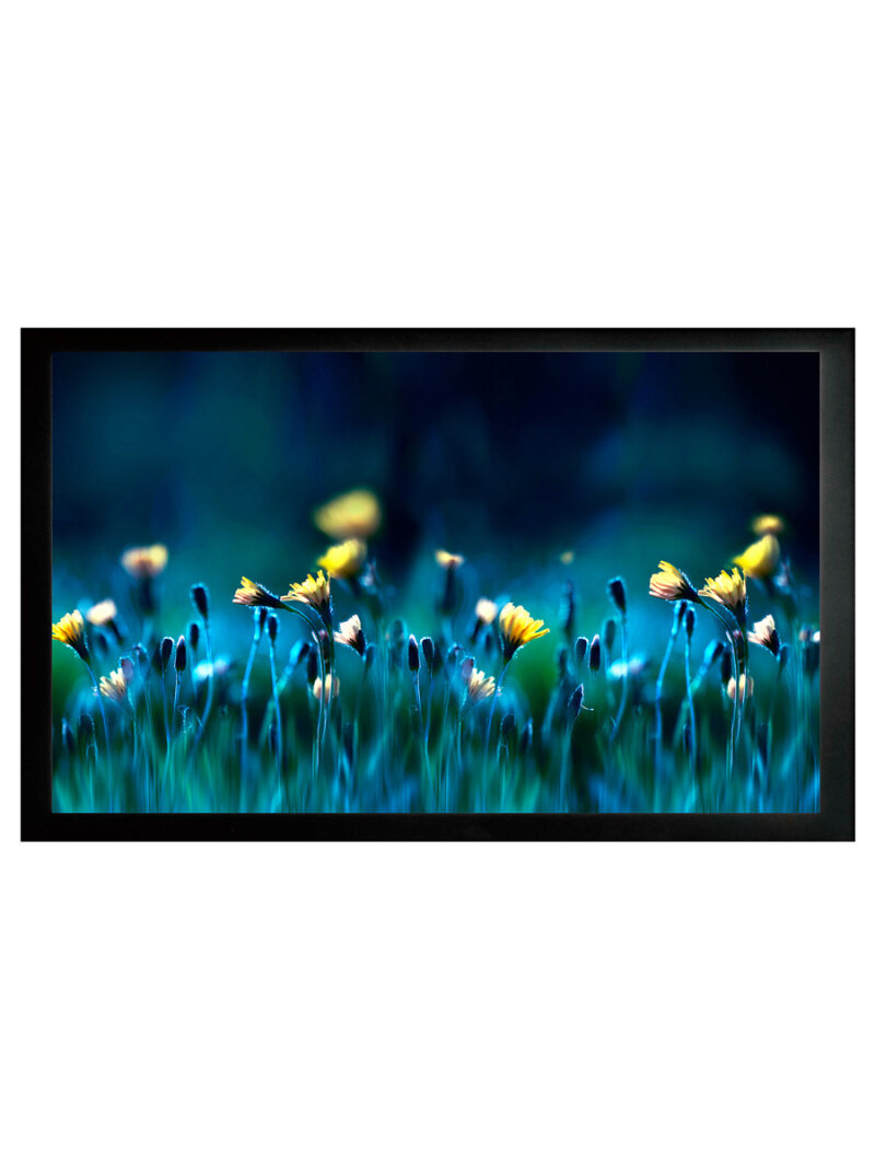 Экран на раме Cactus FrameExpert CS-PSFRE-200X113