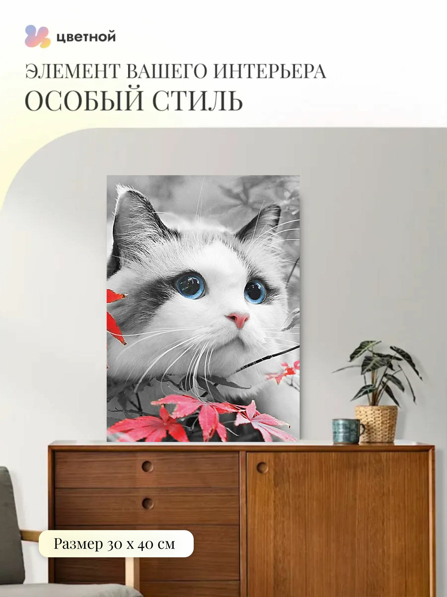 Картина по номерам Кошка