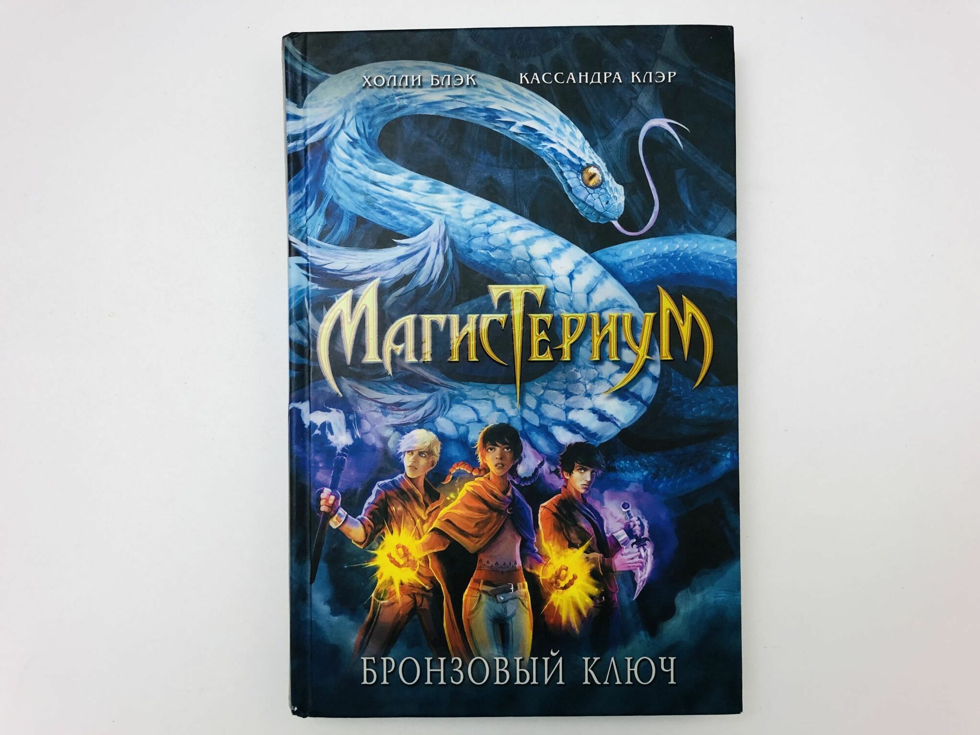 Бронзовый ключ. Роман. Магистериум