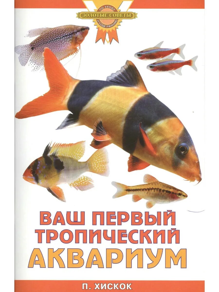 Ваш первый тропический аквариум