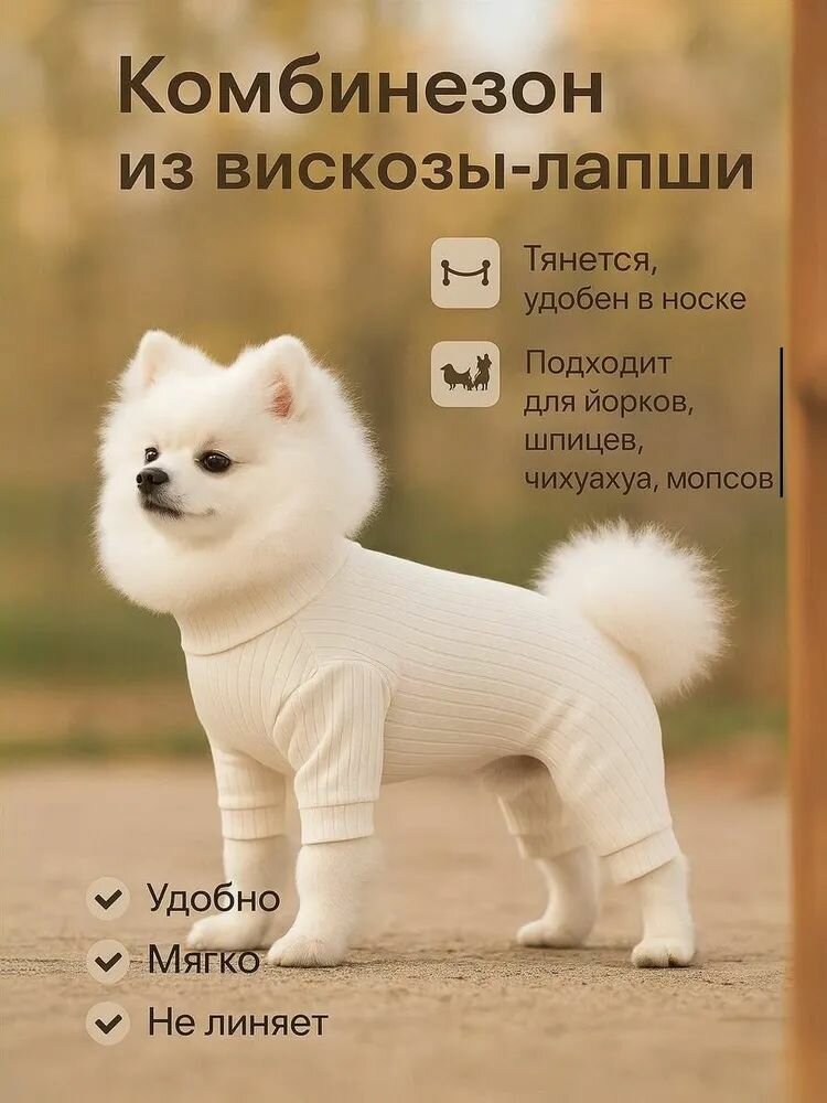 Одежда для животных