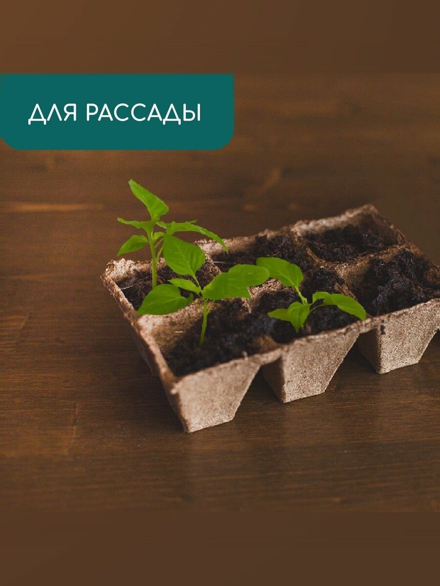 Кассета для рассады, 6 ячеек по 300 мл, торф, 9*9 см, 2 штуки