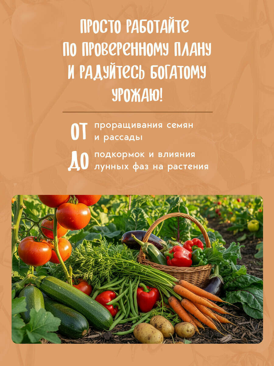 Дневник дачника (на навивке) — фото 1