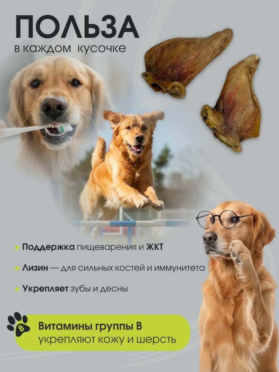 Лакомство ТяфТяфБро для собак, ухо свинное, без ГМО, для всех возрастов