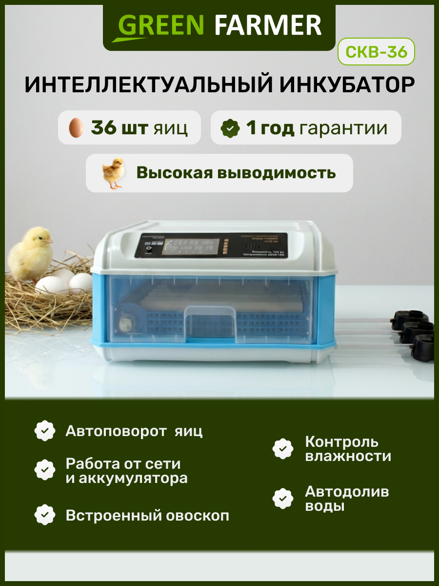 Инкубатор для яиц автоматический GREEN FARMER СКВ-36 с терморегулятором, овоскопом, автоповоротом, для куриных, перепелиных, утиных, гусиных яиц