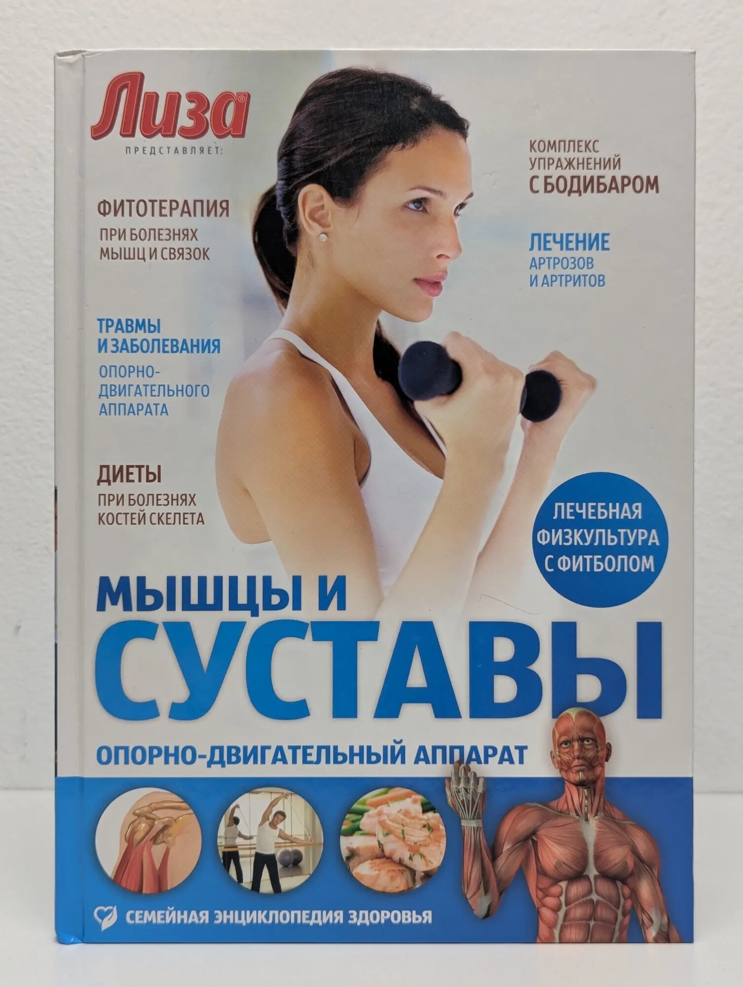 Мышцы и суставы. Опорно двигательный аппарат 2013