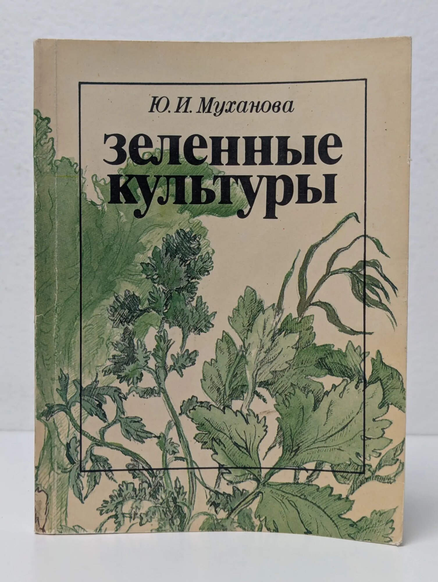 Зеленные культуры Муханова Юлия Ивановна 1989