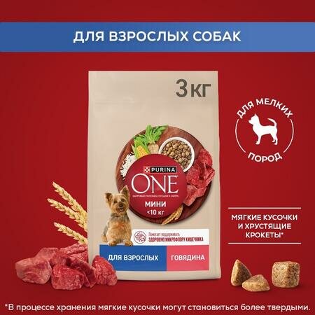 Purina ONE мини 3 кг для взрослых собак мелких и карликовых пород, с высоким содержанием говядины и с рисом