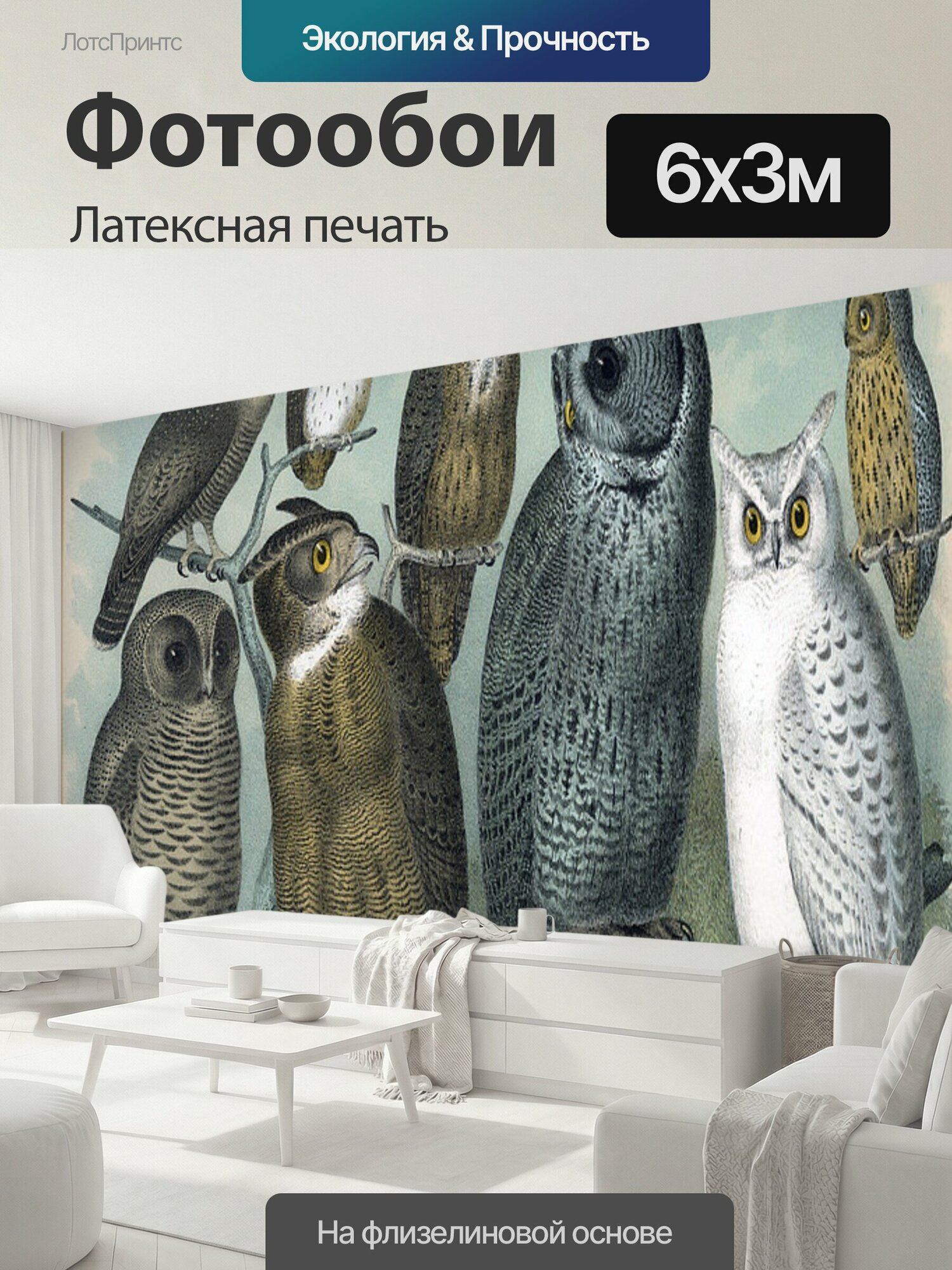 Фотообои моющиеся ударопрочные "Винтажные иллюстрации искусства совы Винтажное искусство совы птицы иллюстрация старый античный ручная роспись." 600x300 см. латексная печать