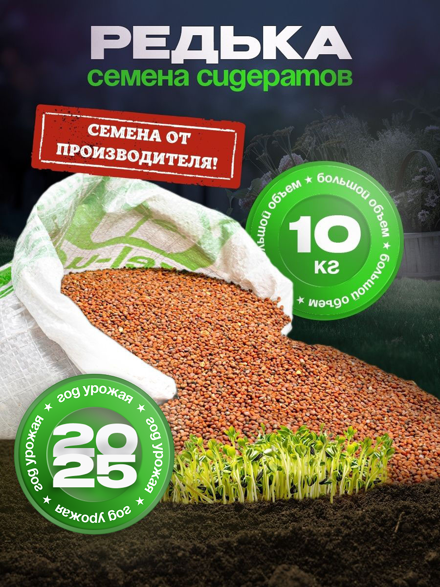 Семена редьки масличной "Зеленый уголок", сидераты, однолетние, 10кг