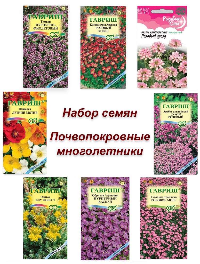 Набор семян, семена почвопокровных многолетних цветов для сада