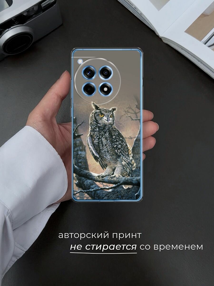 Чехол на OnePlus Ace 3/12R / Ван Плас Асе 3/12R с принтом "Сова арт 5" — фото 1