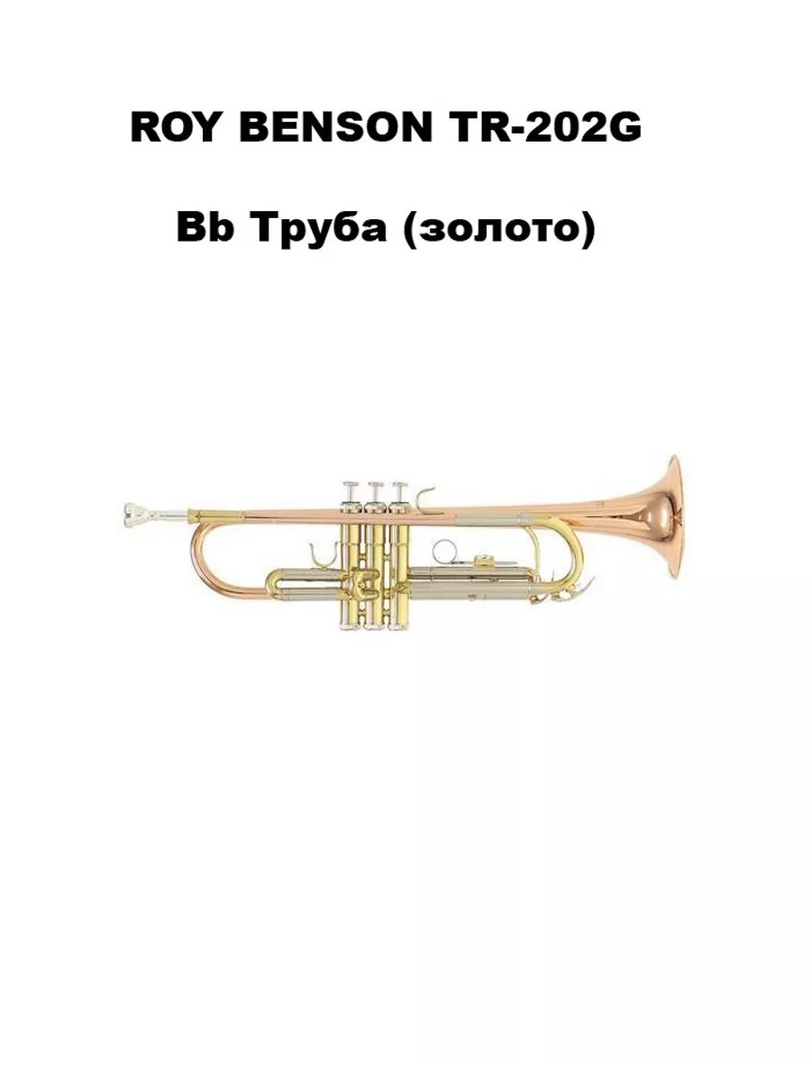 ROY BENSON TR-202G - Bb Труба (золото)