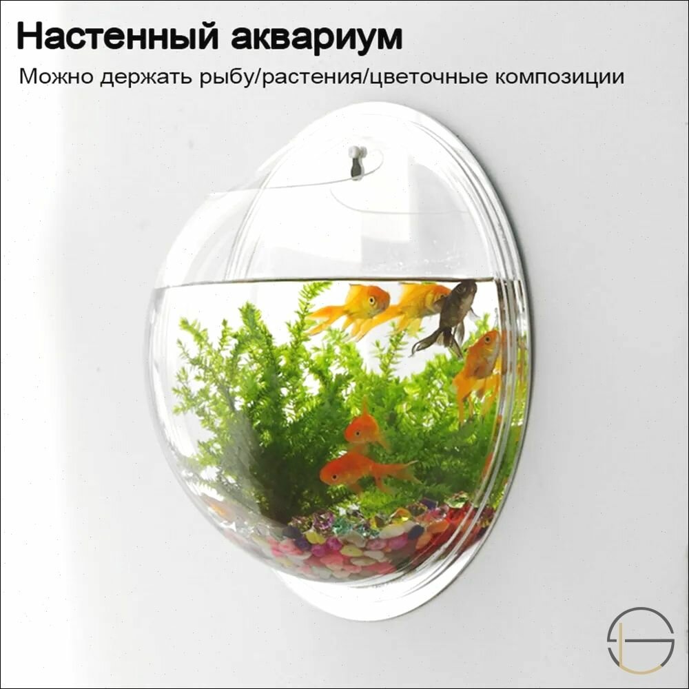 Украшение для стен настенный экологический декоративный аквариум рыб (15*15 см) -зеркальная поверхность