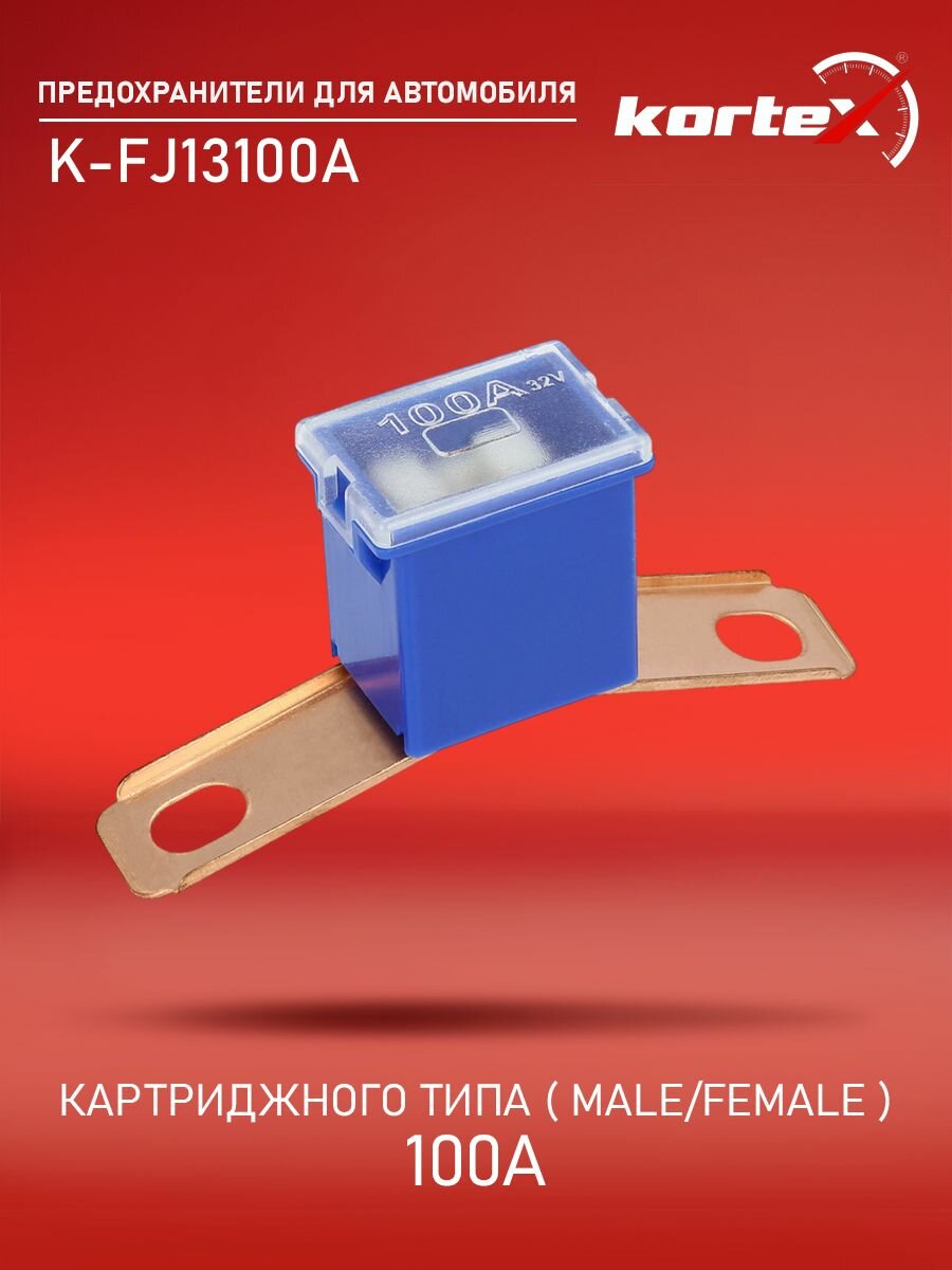 Предохранитель картриджного типа ( male/female ) 100A