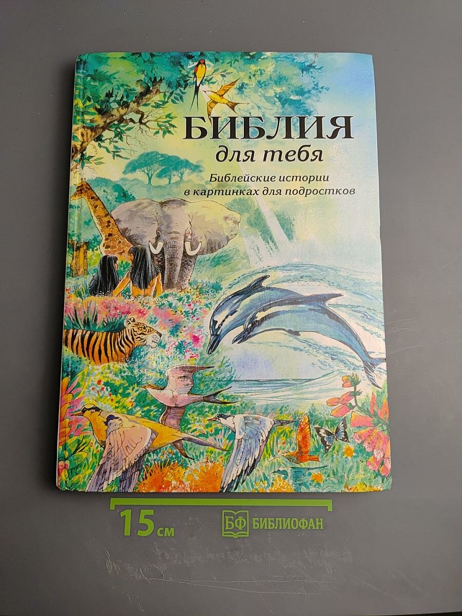 Библия для тебя. Библейские истории в картинках для подростков