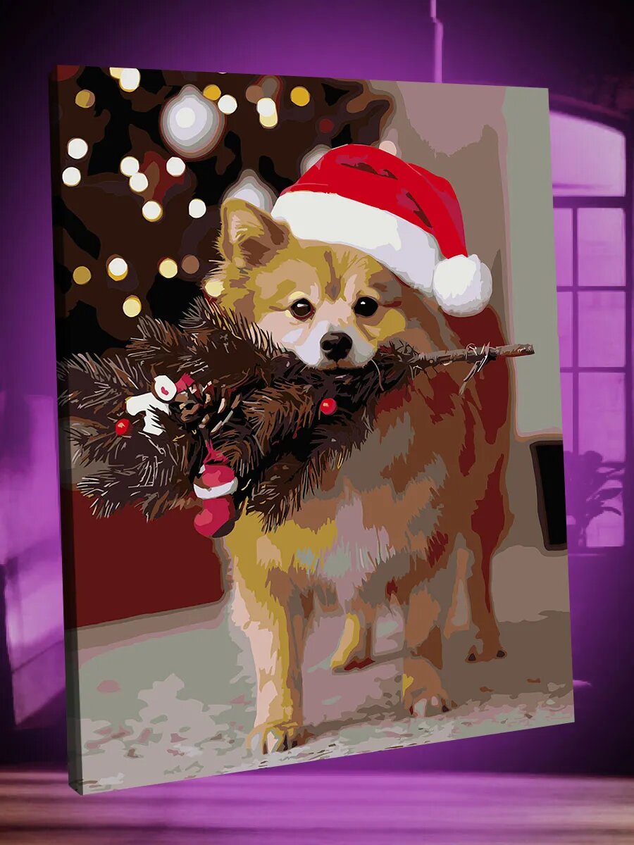 Картина по номерам Собака Шпиц