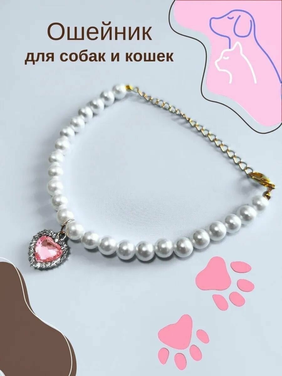 Ошейник для кошек и собак