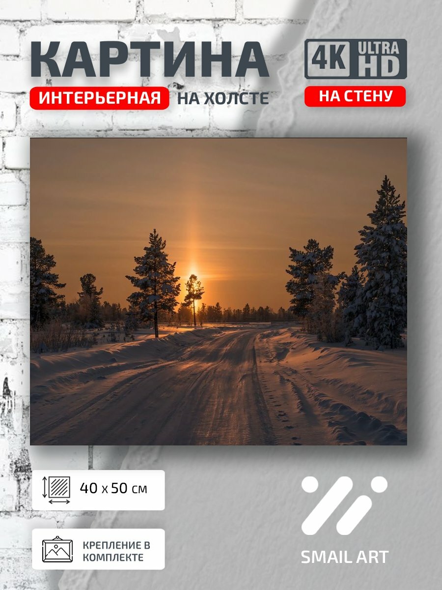 Картина на холсте интерьерная 40 на 50 на стену Снег Landscape для гостиной пейзаж интерьер