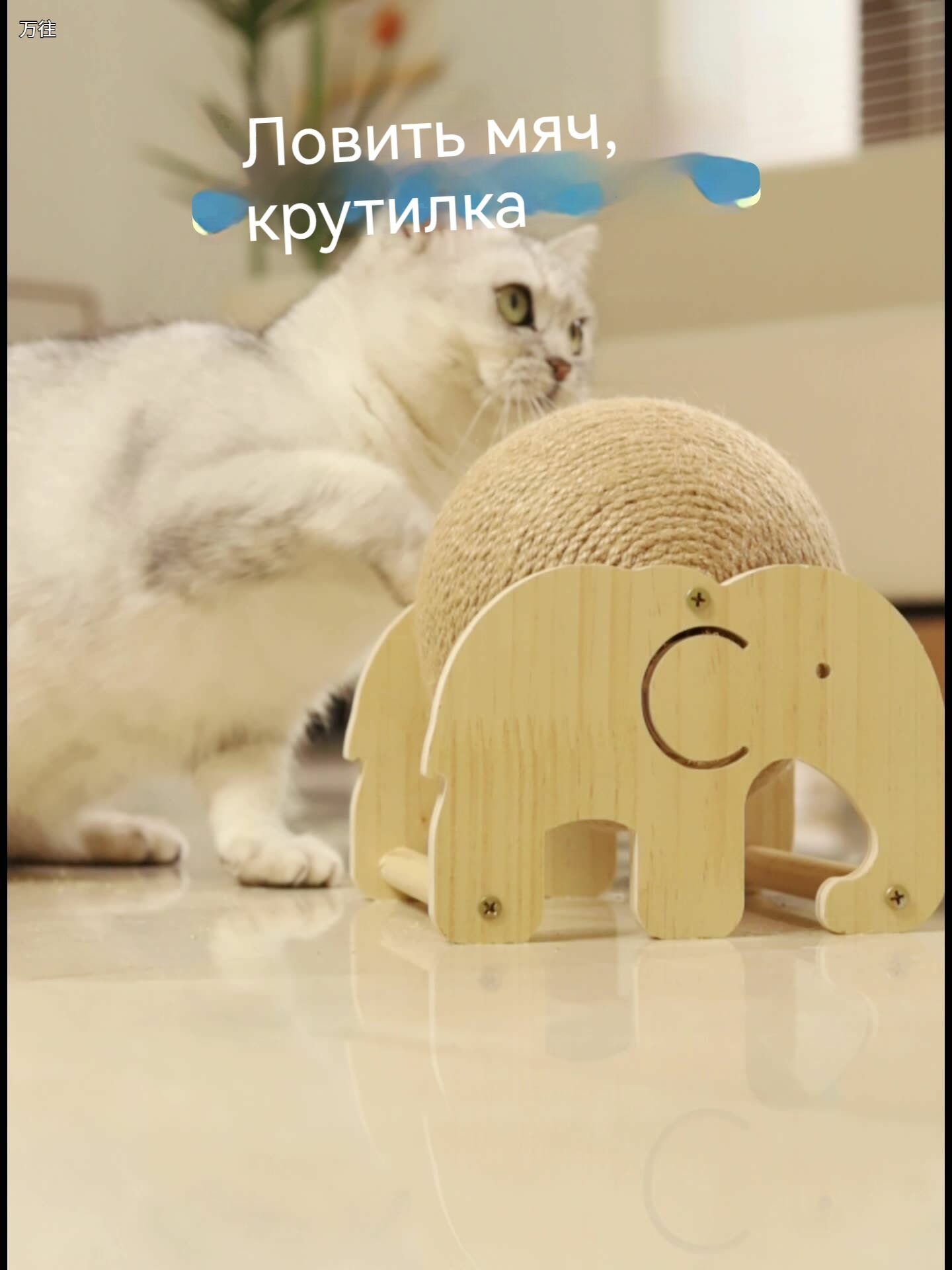 Доска для кошачьих когтеток