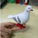 Заводная игрушка