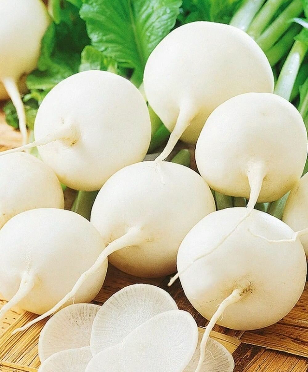 Коллекционные семена редиса Снежок