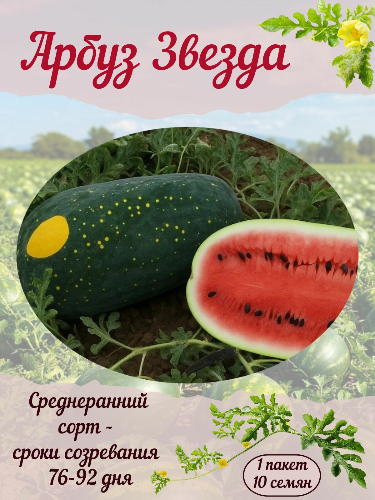 Арбуз Звезда, семена, 10 шт, 15 гр.