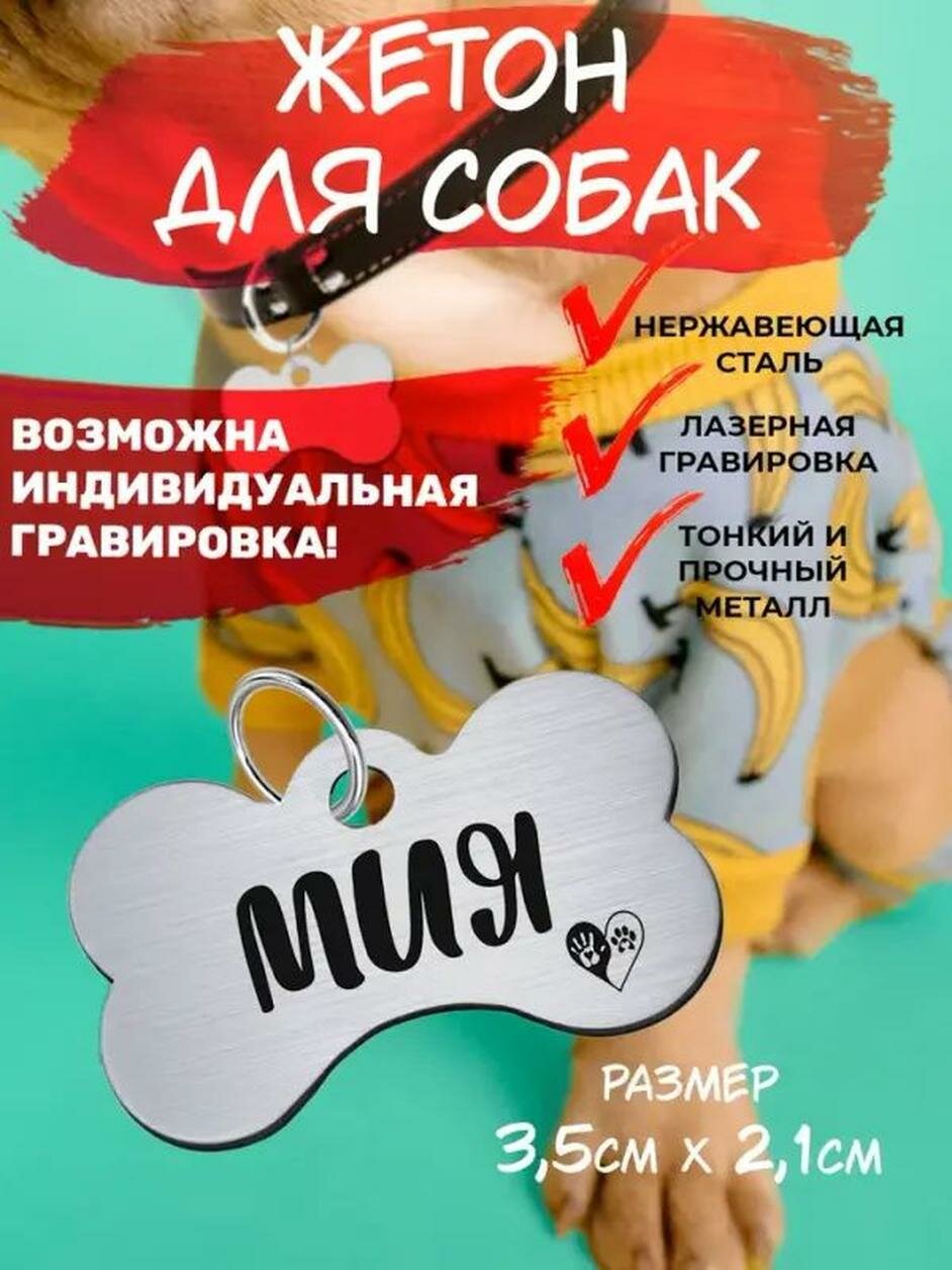 Адресник для собаки с гравировкой, нерж. сталь, серебристый, Мия