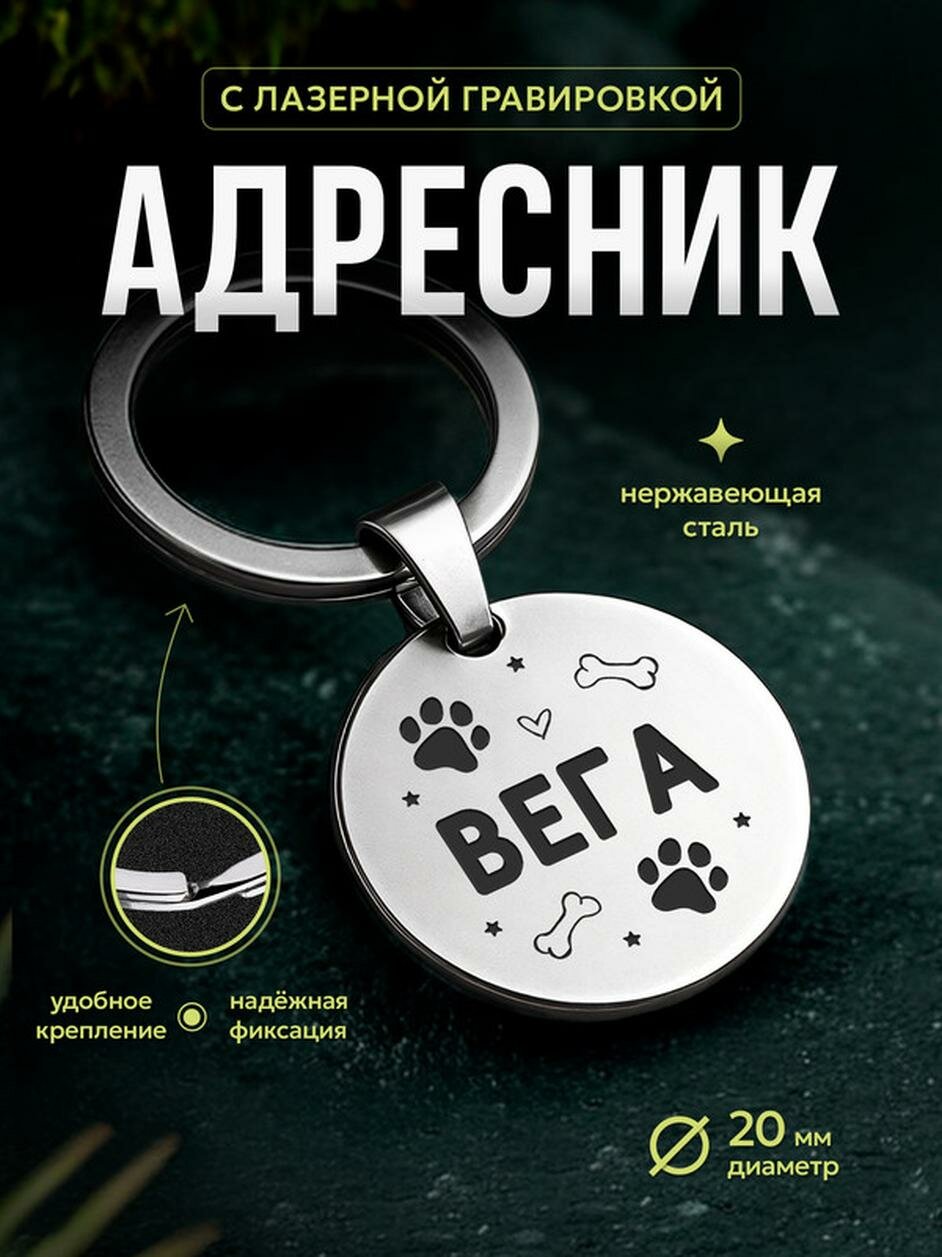 Адресник для собаки и кошки с гравировкой, нерж. сталь, серебристый, Вега